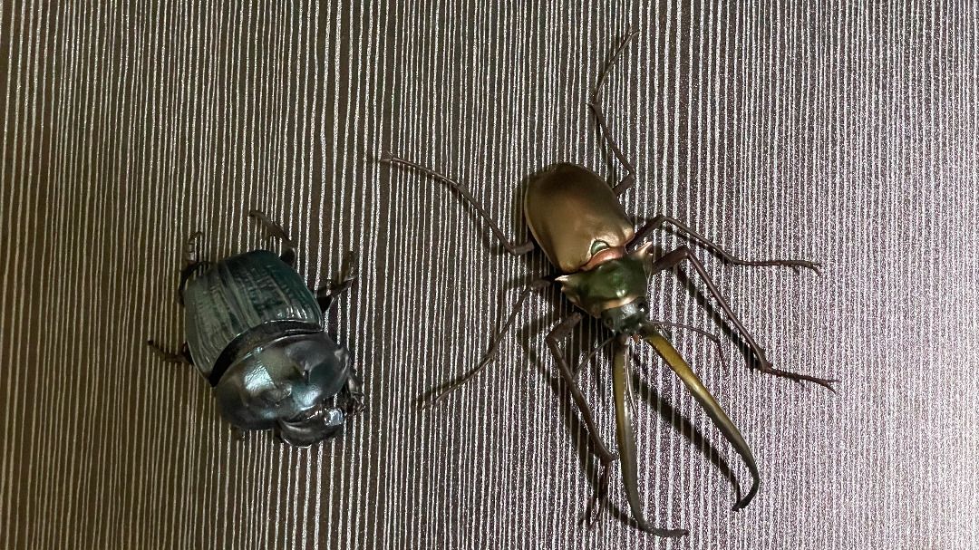 Gashapon Beetle 2-pack, Hobbies & Toys, Toys & Games on Carousell