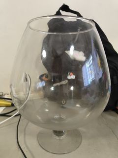 Clear Glass Round Bowl, Furniture & Home Living, Home Decor Accessories ...