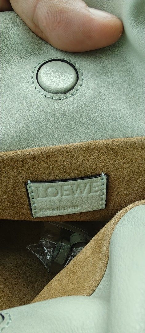 Loew Mini Balloon Bag in Mint Green, Luxury, Bags & Wallets on Carousell