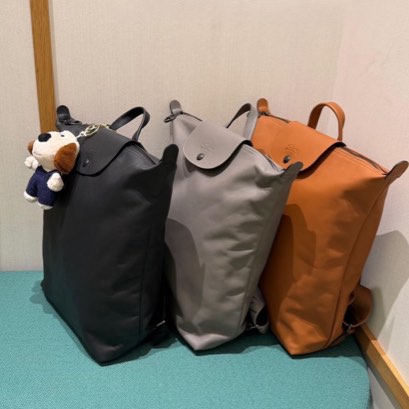 Longchamp Backpack, Luxury, Bags & Wallets on Carousell