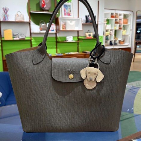 Longchamp Tote Bag, Luxury, Bags & Wallets on Carousell