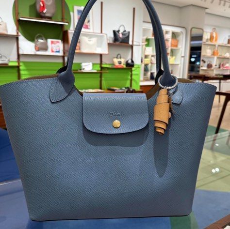 Longchamp Tote Bag, Luxury, Bags & Wallets on Carousell