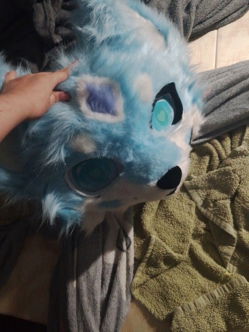 wts partial fursuit!!, Hobbies & Toys, Memorabilia & Collectibles, J ...