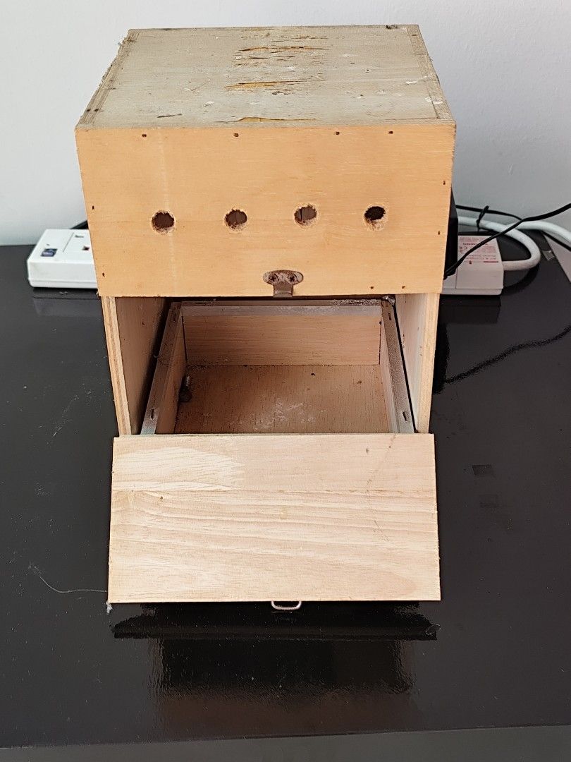 Bird Box for hatching, Pet Supplies, Homes & Other Pet Accessories on ...