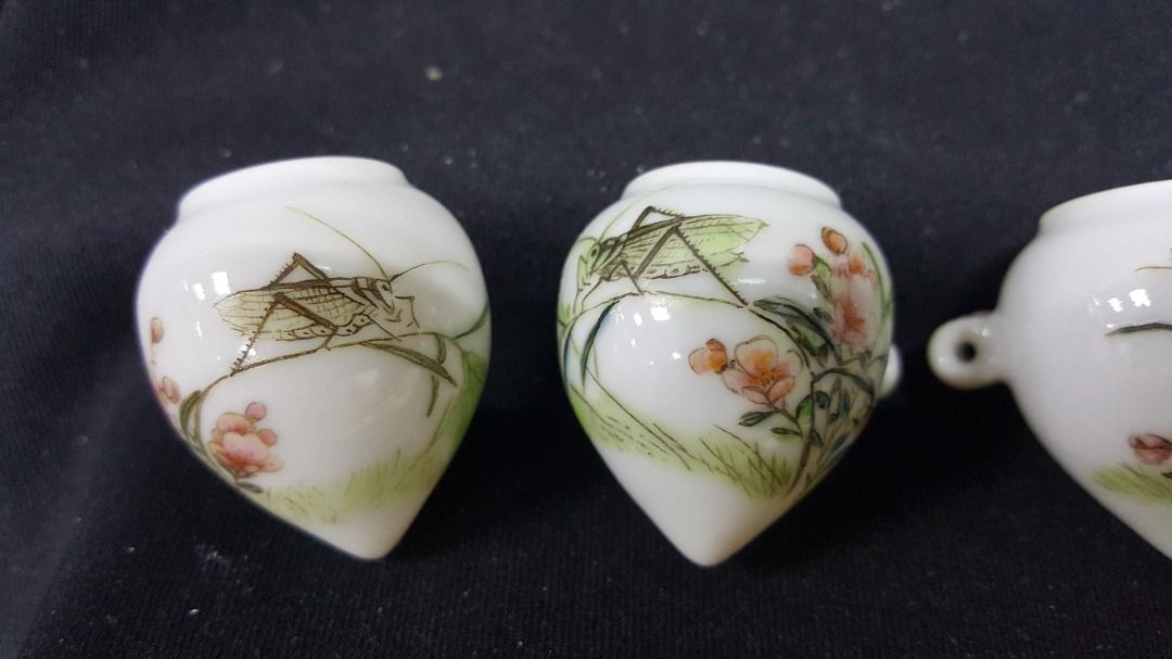 BirdCups Insects-2 Cicada, Hobbies & Toys, Memorabilia & Collectibles ...