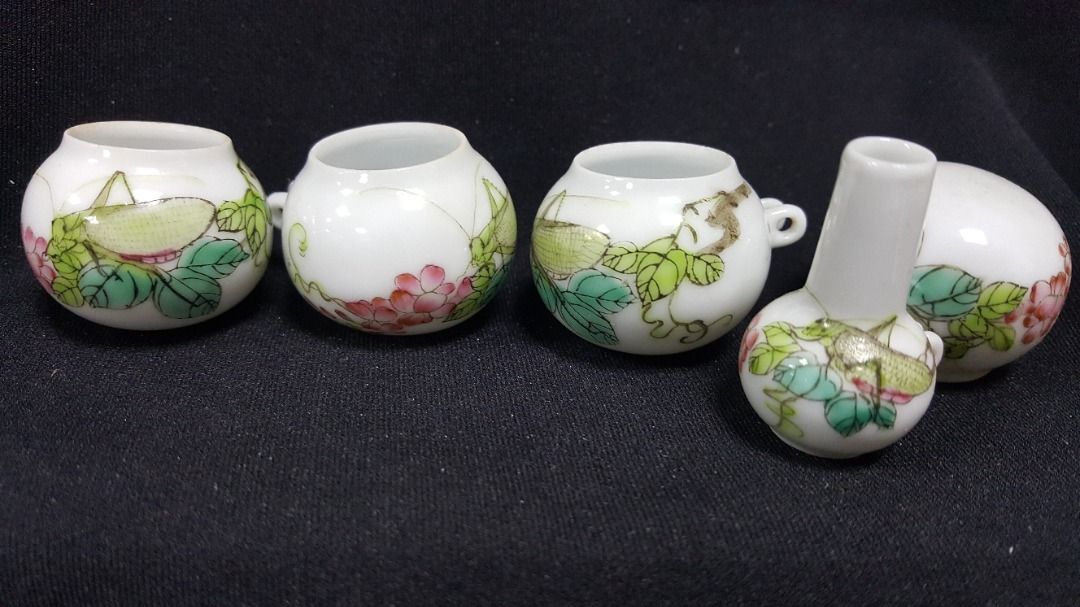 BirdCups Insects-3 Cicada, Hobbies & Toys, Memorabilia & Collectibles ...