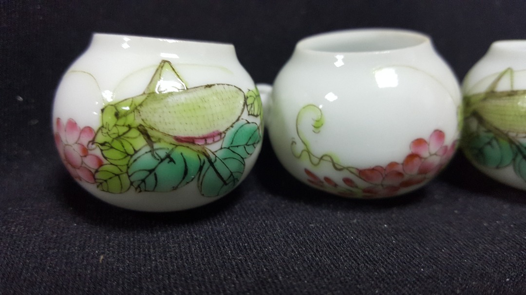 BirdCups Insects-3 Cicada, Hobbies & Toys, Memorabilia & Collectibles ...
