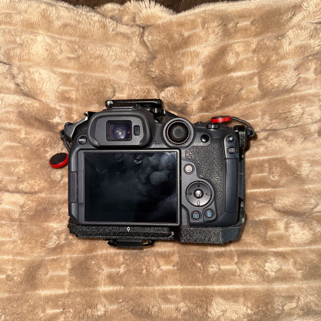 Canon EOS R7 with Sigma 17-40mm Lens, Photography, Cameras on Carousell