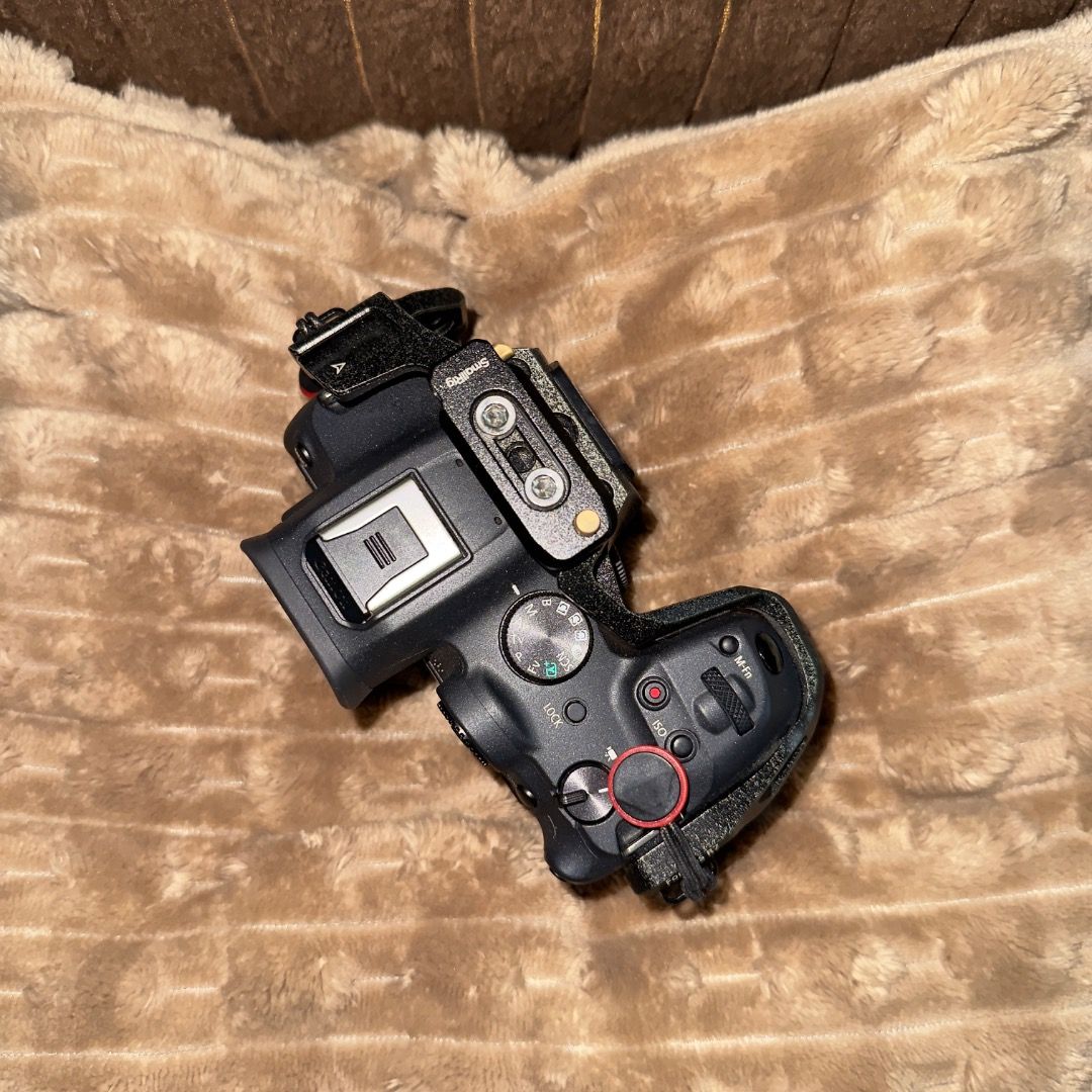 Canon EOS R7 with Sigma 17-40mm Lens, Photography, Cameras on Carousell