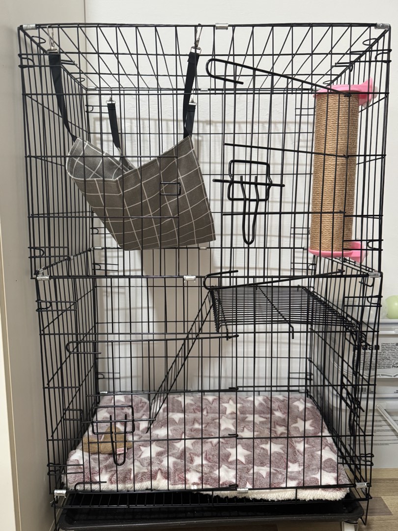 Cat Cage with Accessories, Pet Supplies, Homes & Other Pet Accessories ...