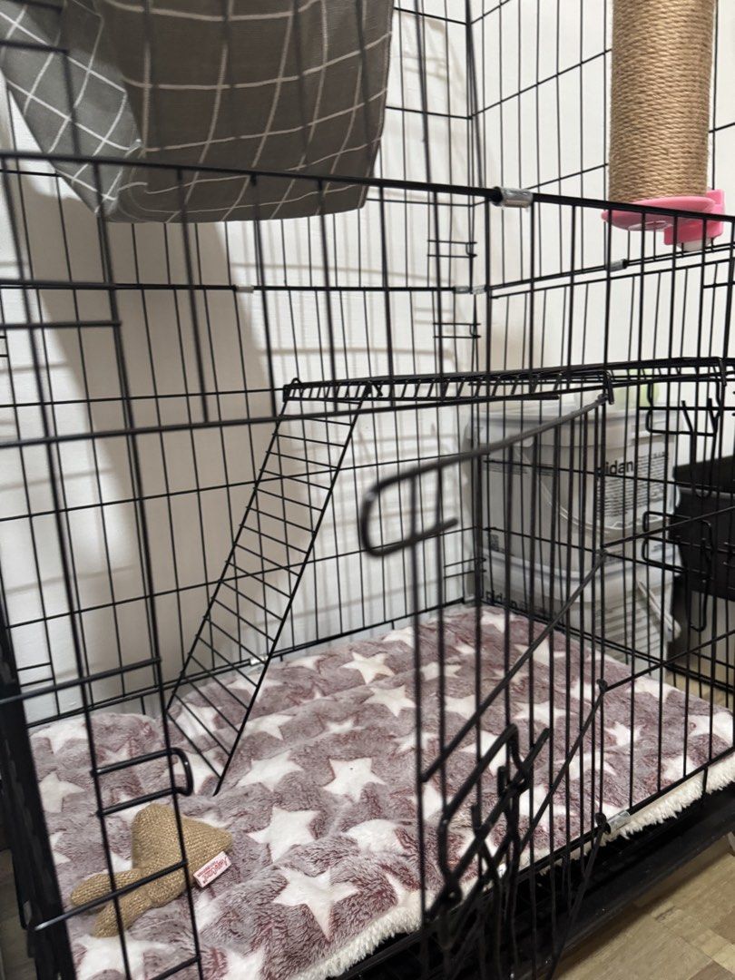 Cat Cage with Accessories, Pet Supplies, Homes & Other Pet Accessories ...