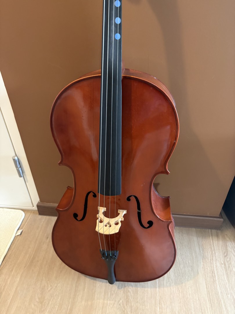 Cello with casing, Hobbies & Toys, Musical Instruments on Carousell