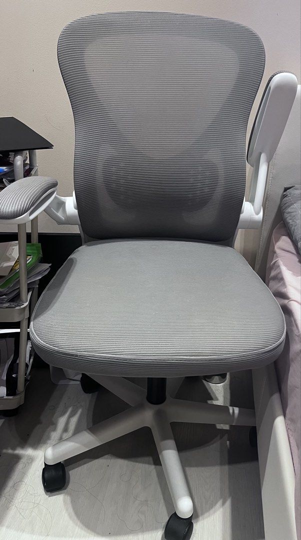 Ergonomic Mesh Office Chair with Adjustable Armrests, Furniture & Home ...