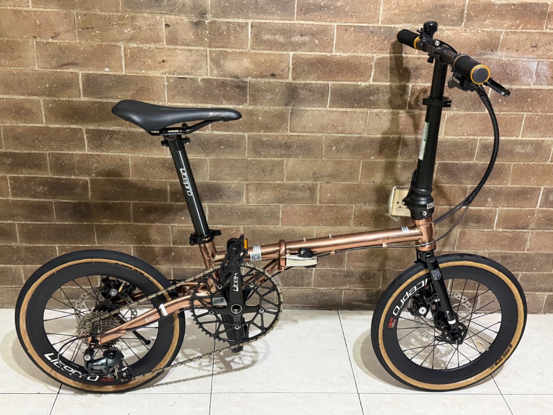 Fnhon gust foldable bicycle 16” 10sp folding bike, Sports Equipment ...