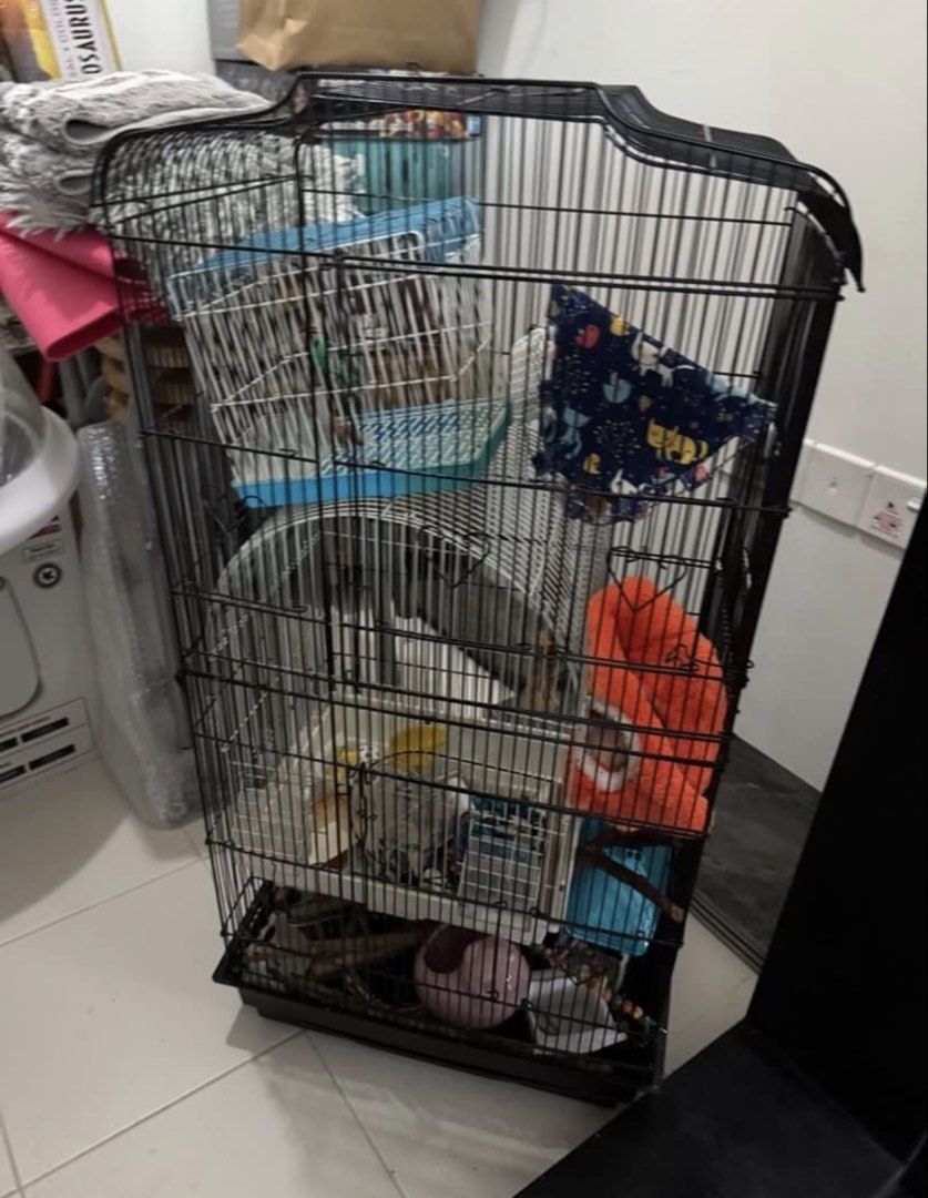 Large Bird Cage with Cover, Pet Supplies, Homes & Other Pet Accessories ...