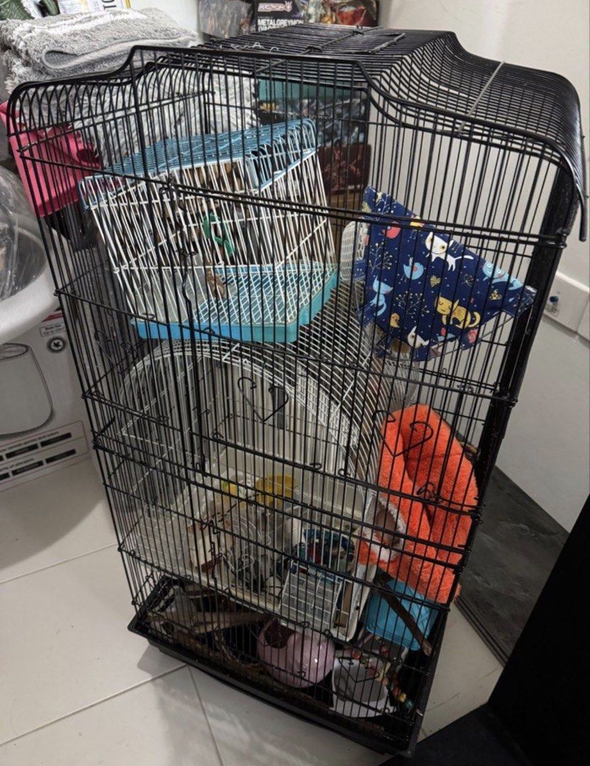 Large Bird Cage with Cover, Pet Supplies, Homes & Other Pet Accessories ...