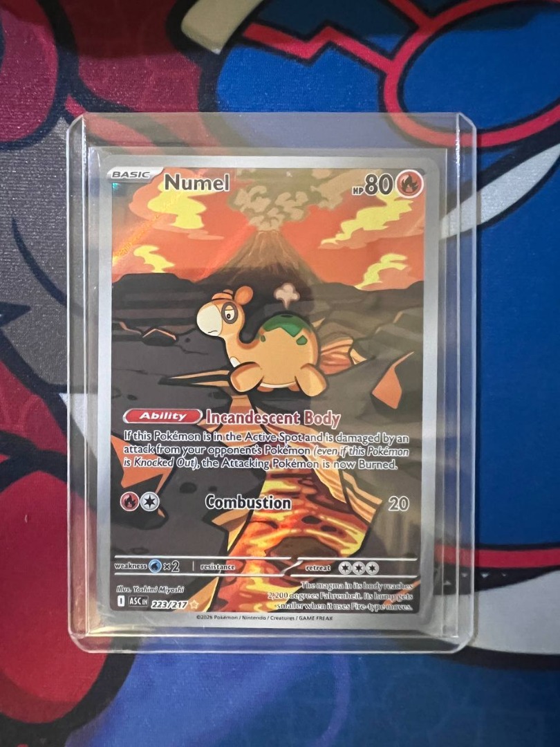 Numel #223 Pokemon Ascended Heroes, Hobbies & Toys, Toys & Games on ...