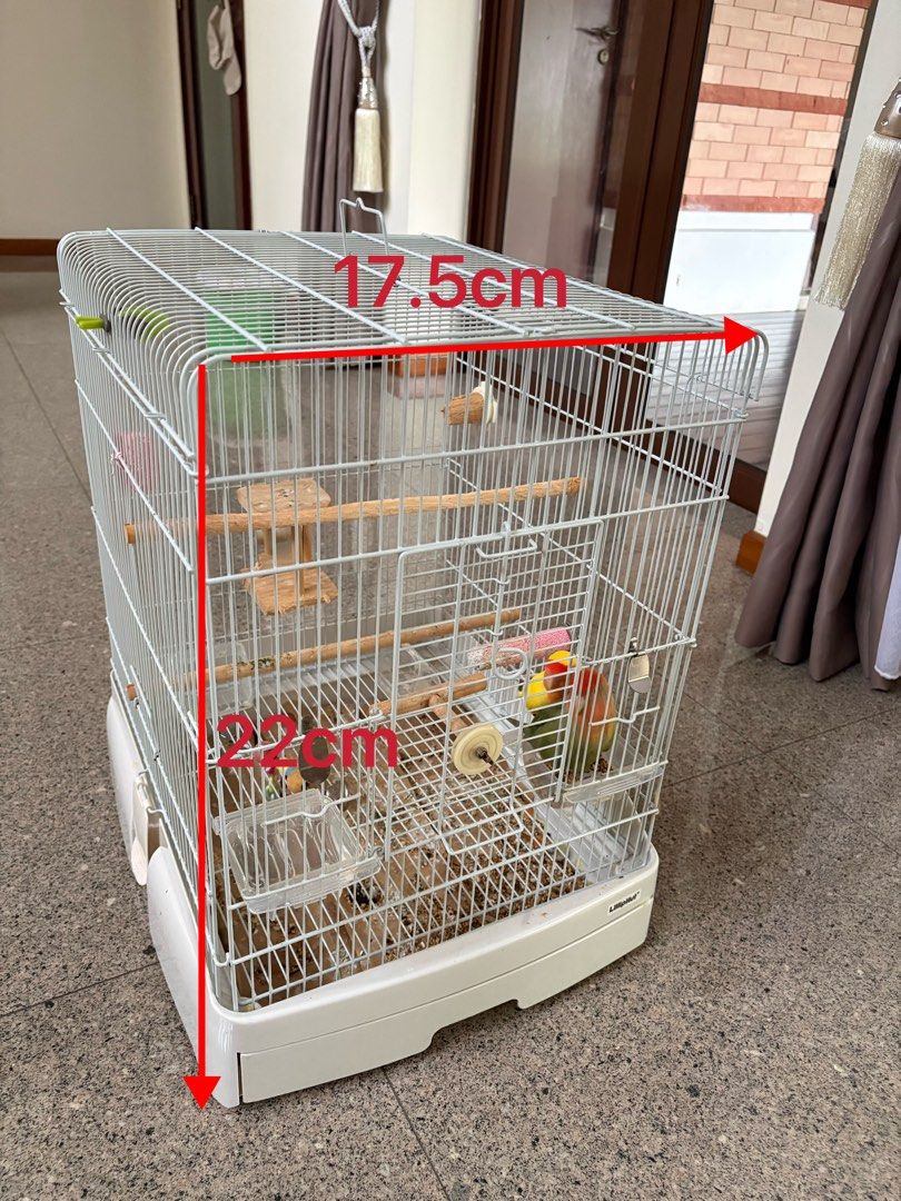 Small Bird Cage - White, Pet Supplies, Homes & Other Pet Accessories on ...
