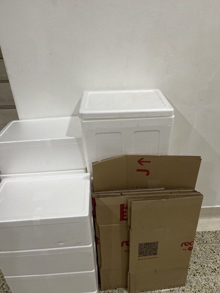 Styrofoam boxes + carton (whole amt), Furniture & Home Living, Home ...