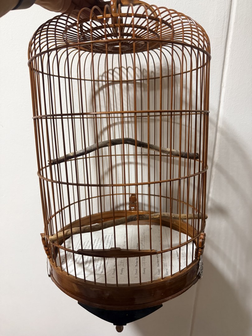 Vintage finch Wooden Bird Cage, Pet Supplies, Homes & Other Pet ...
