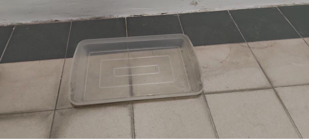 Clear plastic storage container, Furniture & Home Living, Home ...