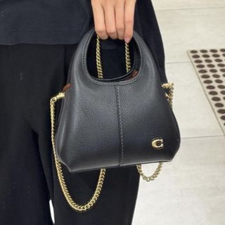 Coach Lana 19 Crossbody Bag, Women's Fashion, Bags & Wallets, Cross ...