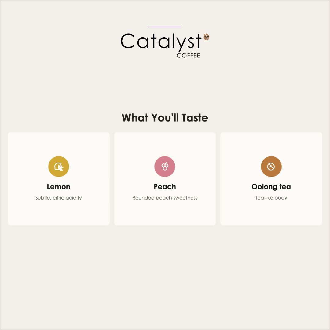 Ethiopia Single Origin Specialty Coffee Beans | Lemon, Peach, Jasmine ...