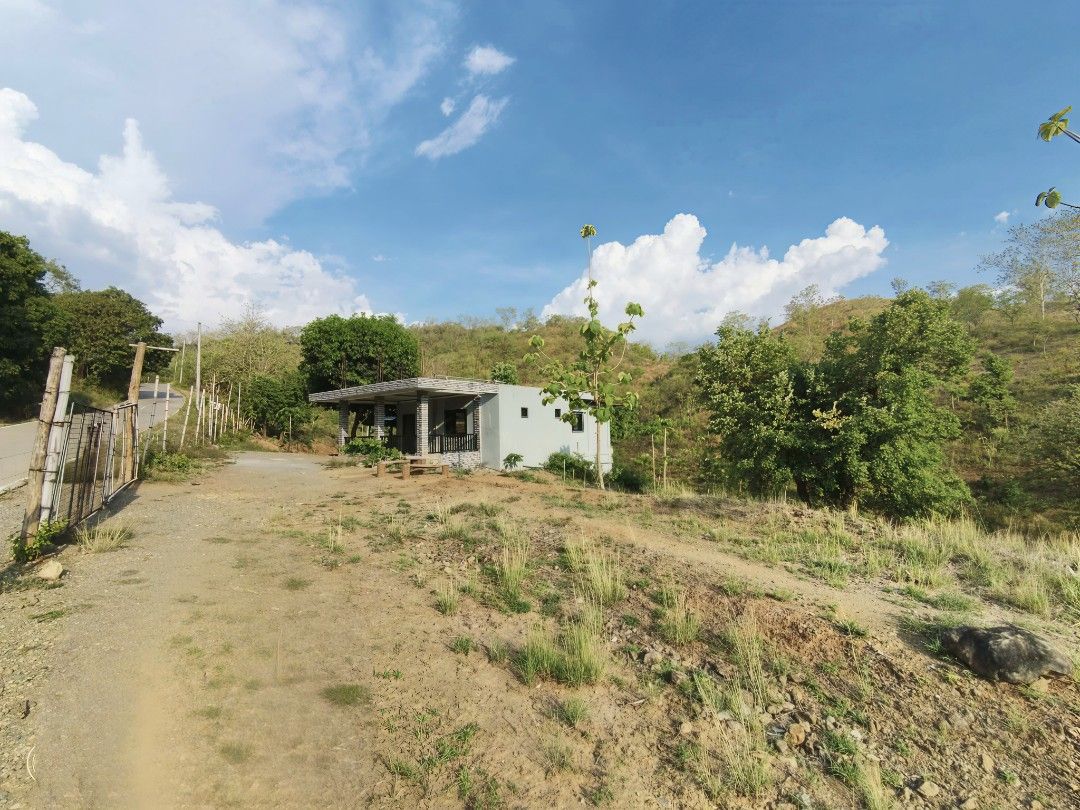 Farm Land 2.2hectares Rush for Sale in Lupao Nueva Ecija, Property, For ...