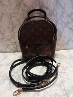 Louis Vuitton Monogram Palm Springs Mini Backpack, Luxury, Bags ...
