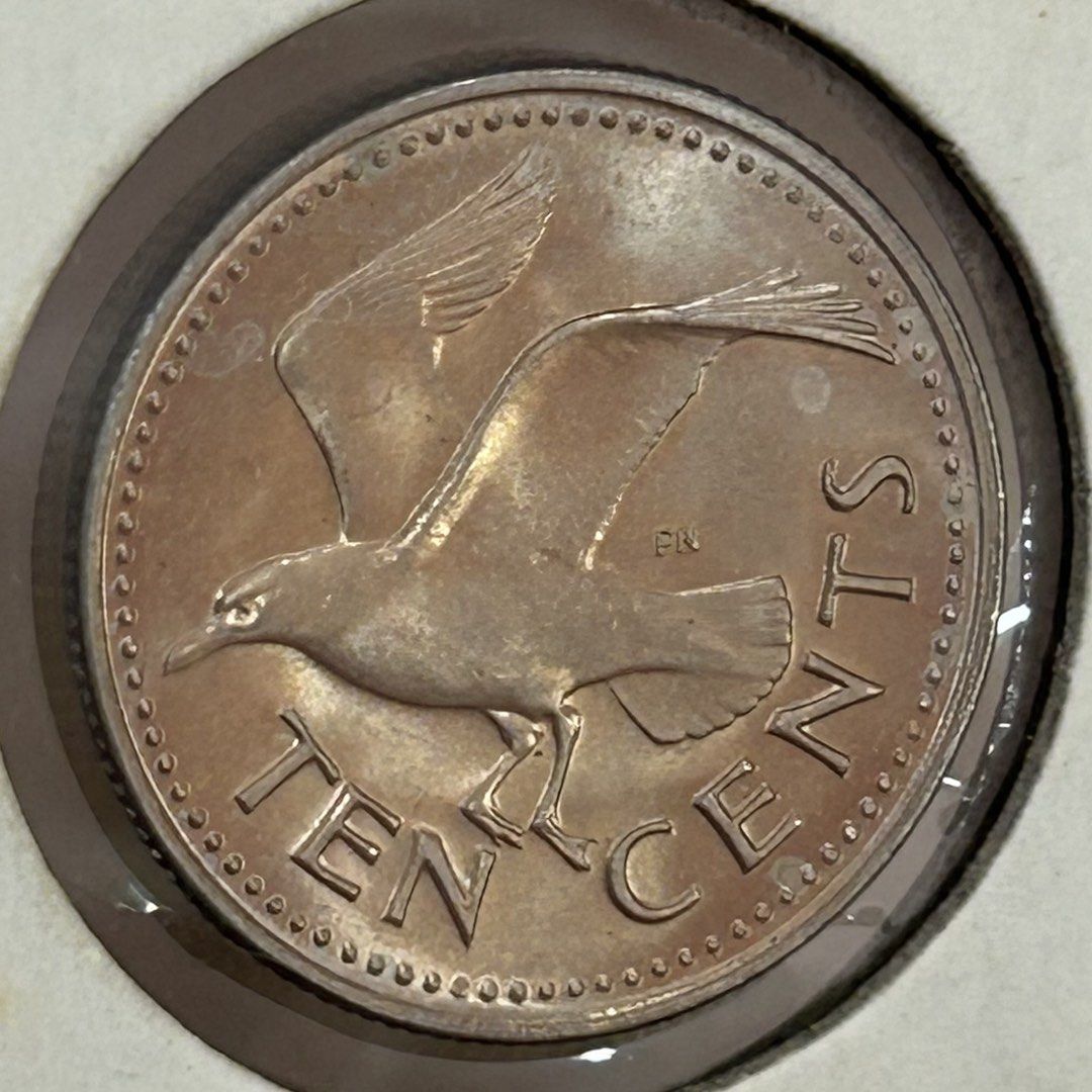 1973 Barbados Ten Cents Coin - Seagull Design, Hobbies & Toys ...