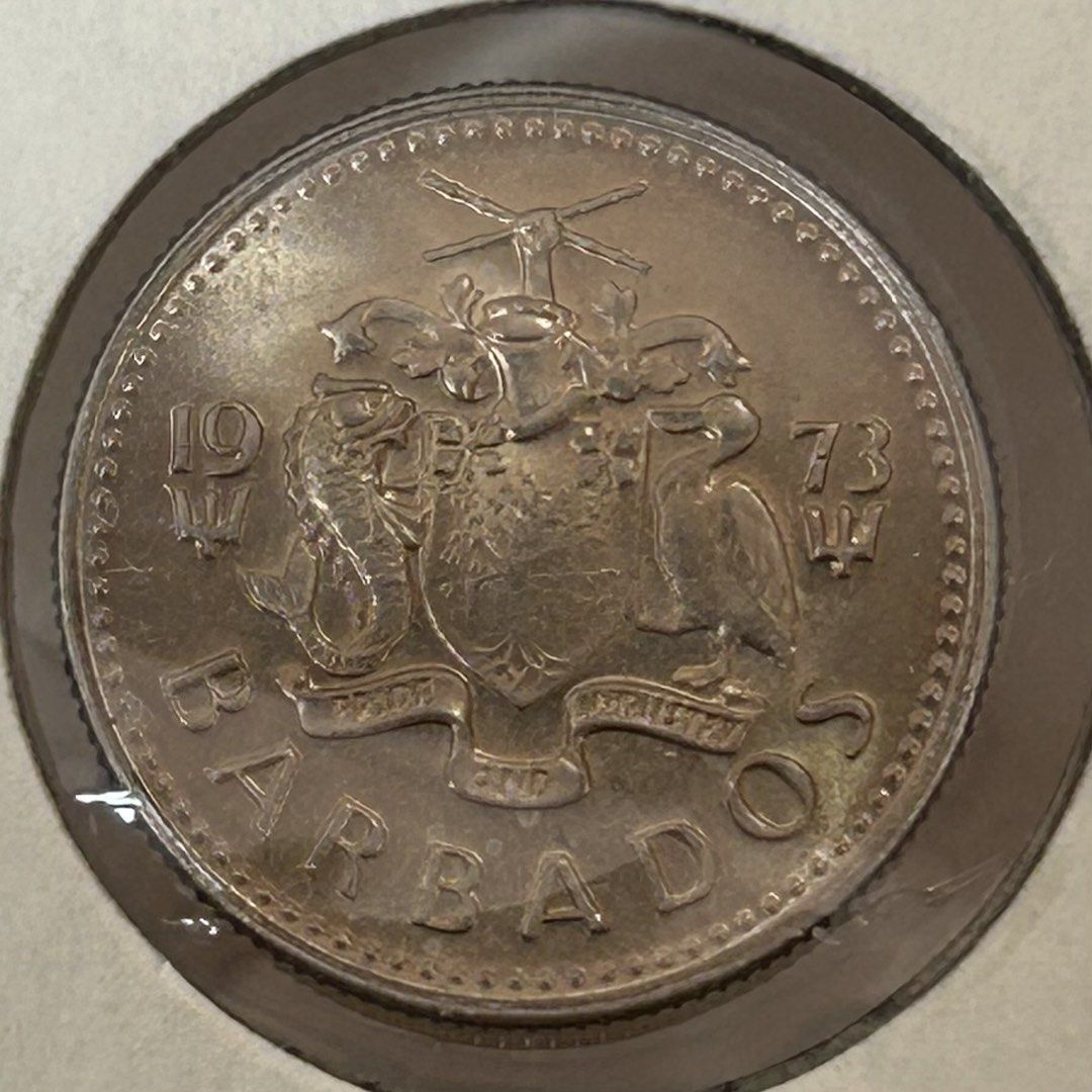 1973 Barbados Ten Cents Coin - Seagull Design, Hobbies & Toys ...