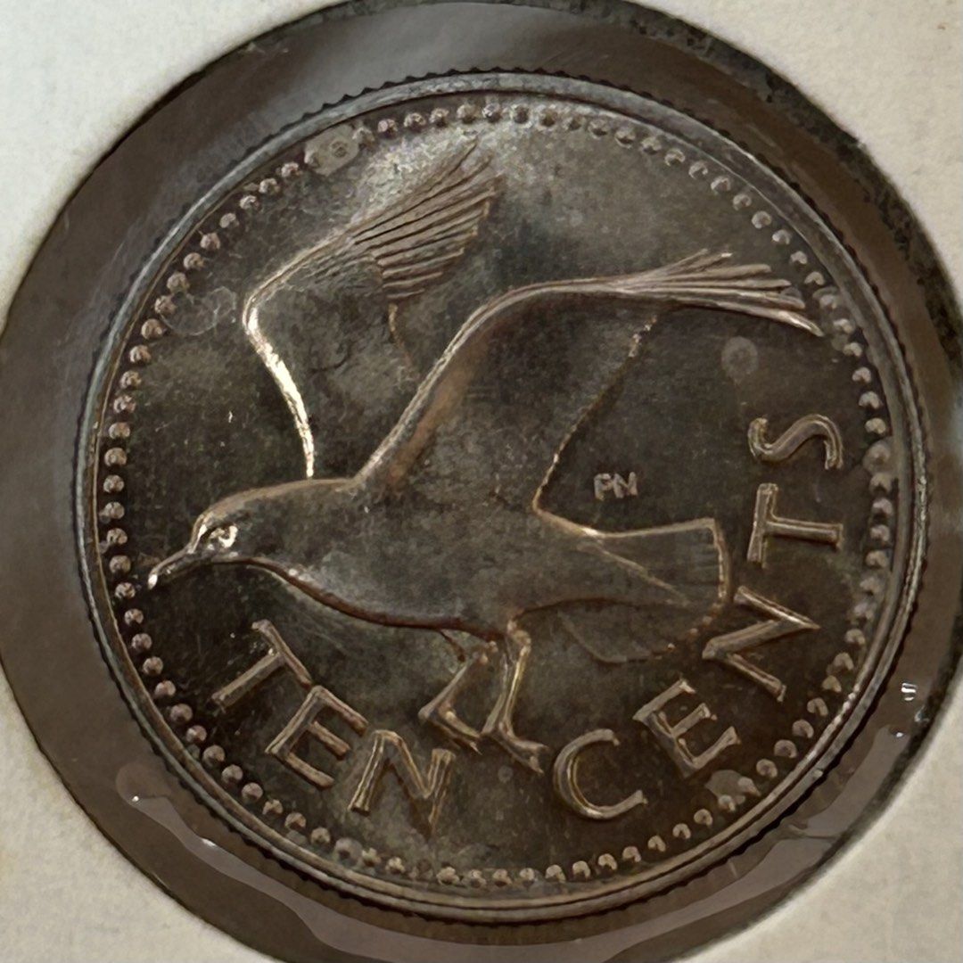 1973 Barbados Ten Cents Coin - Seagull Design, Hobbies & Toys ...