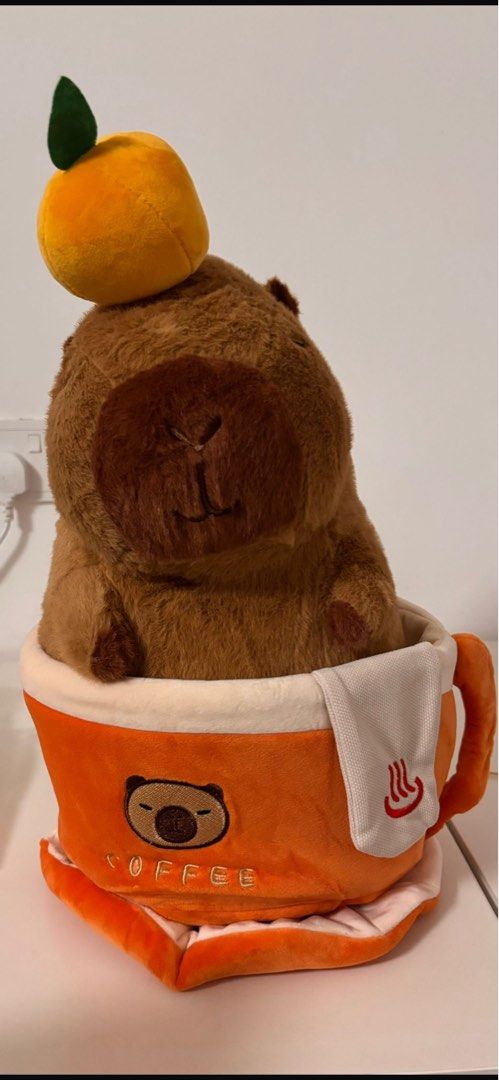 Big Capybara Plush Toy in Coffee Cup with Orange Hat, Hobbies & Toys ...