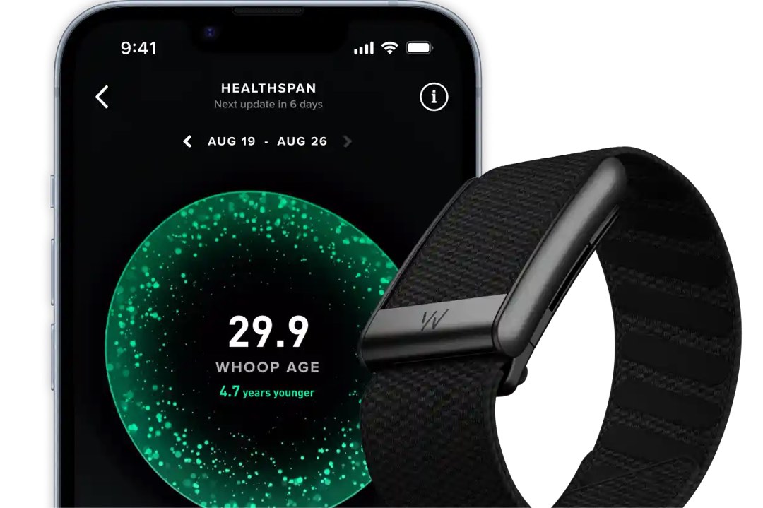 Free Whoop Month, Mobile Phones & Gadgets, Wearables & Smart Watches on ...