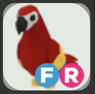 Parrot adopt me For Sale | Carousell Philippines