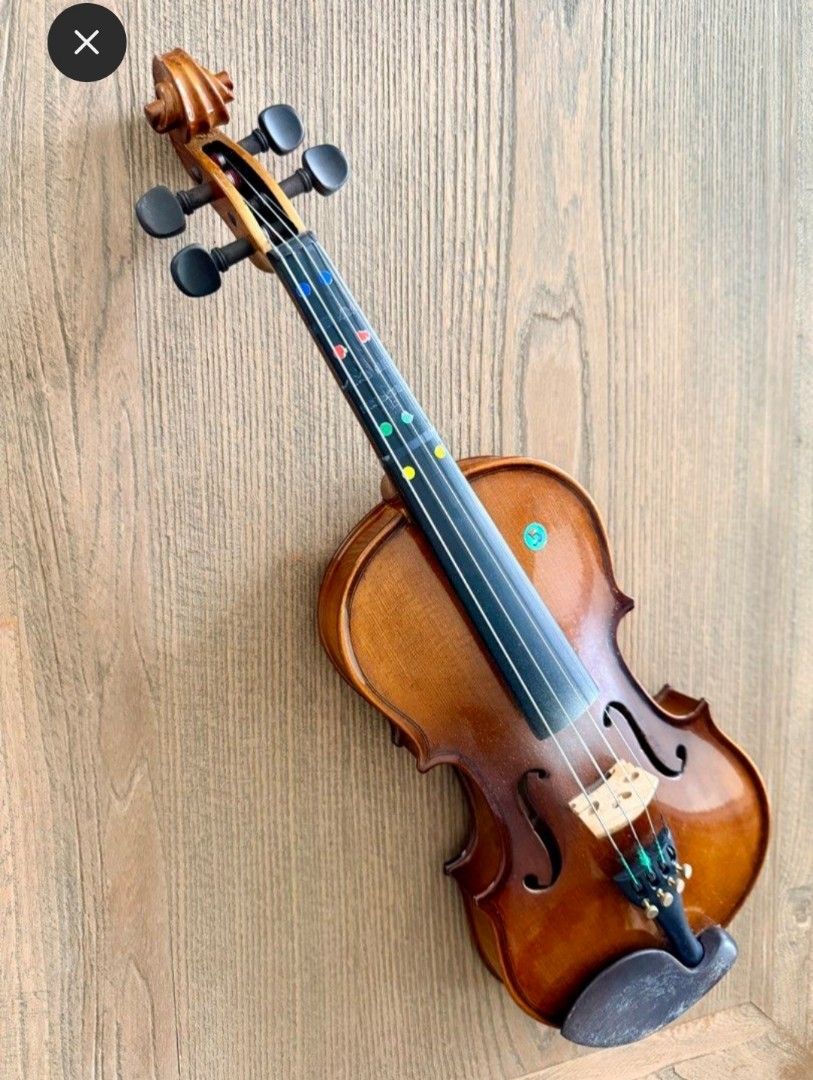 Violin with Fingerboard Stickers, Hobbies & Toys, Musical Instruments ...