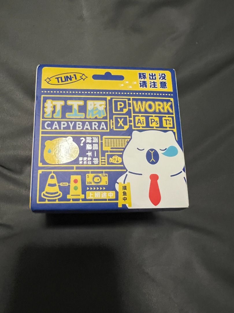 BNIB Capybara P-Work Blind Box Toy, Hobbies & Toys, Toys & Games on ...