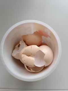 2 x Egg Cartons for 30 Eggs Each, Hobbies & Toys, Stationery & Craft ...