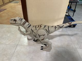 Nanmu Studio Carnotaurus Dinosaur Figure, Hobbies & Toys, Toys & Games ...