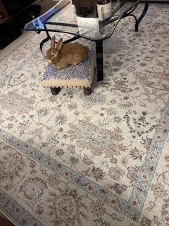 Country style Carpet specially made for outdoor, Furniture & Home ...