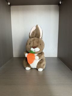 Brown Plush Dog Toy, Hobbies & Toys, Toys & Games on Carousell