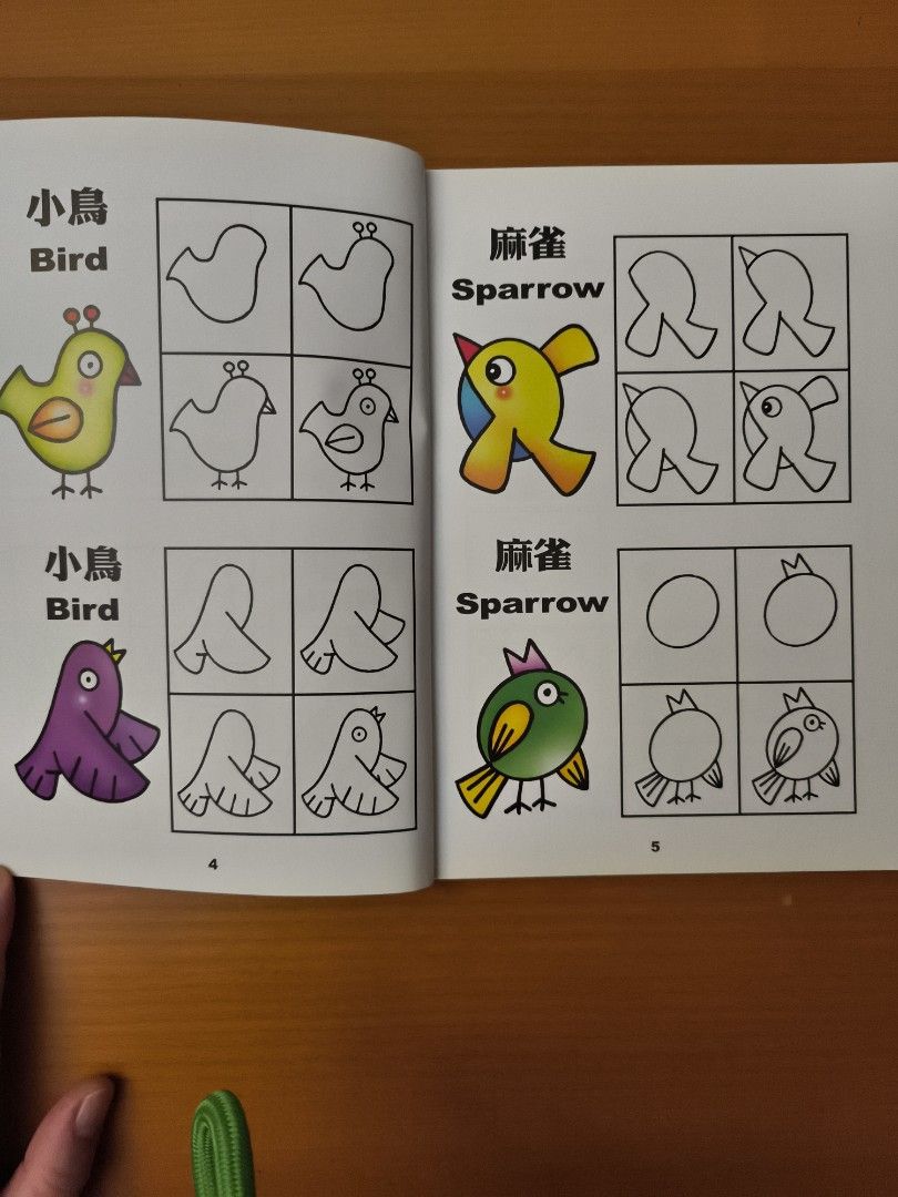 Bilingual Drawing Book: Paradise of Birds, Hobbies & Toys, Books ...
