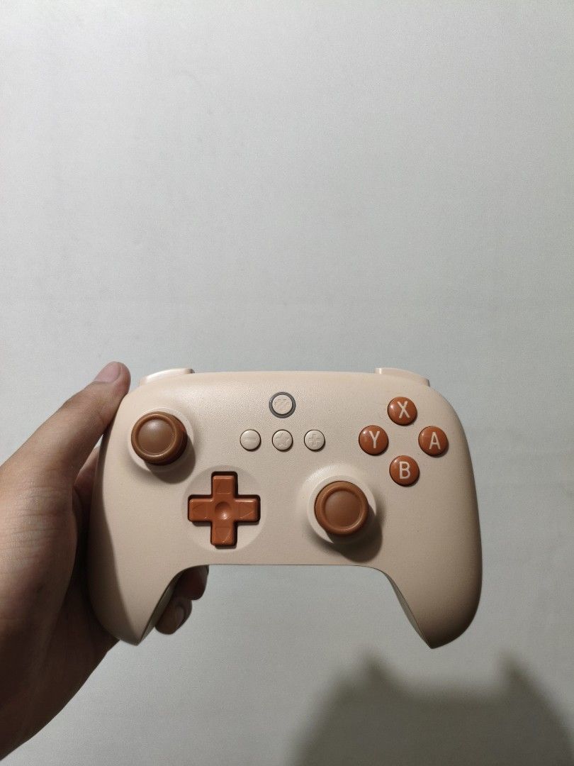 Nintendo Switch Joy-Cons and 8Bitdo Ultimate C Wireless Controller ...