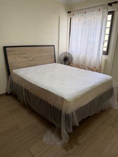 Cellini Metal Bed Frame with Gold Accents - Queen Size, Furniture ...