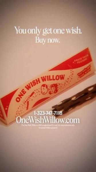 One Wish Willow - Make a Wish!, Hobbies & Toys, Toys & Games on Carousell