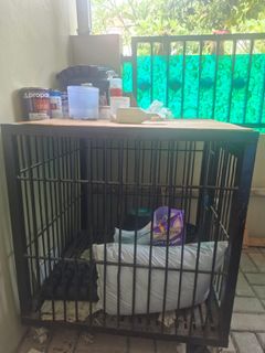 Kandang anjing Dijual | Beli 100+ Kandang anjing online | Carousell ...