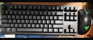 Razer Deathstalker RGB Gaming Keyboard, Computers & Tech, Parts ...