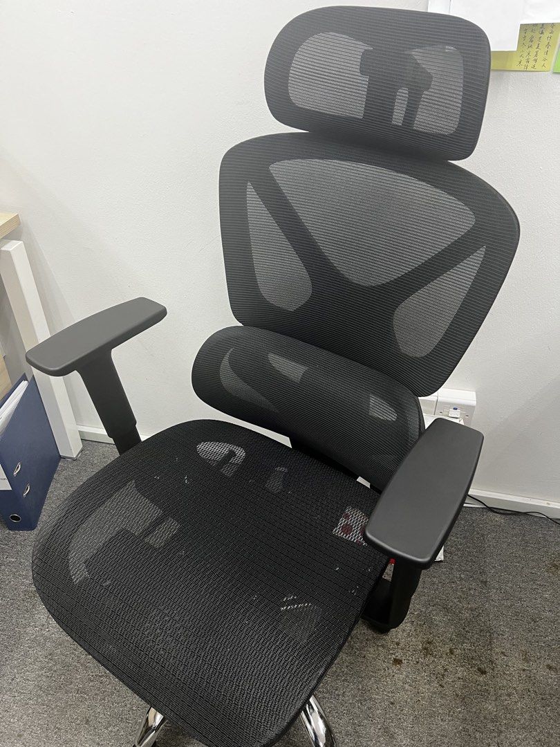 Ergonomic Mesh Office Chair with Lumbar Support and Footrest, Furniture ...