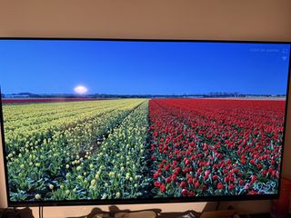 Sony BRAVIA OLED A8G 55 inch, 家庭電器, 電視 & 其他娛樂, 電視 - Carousell