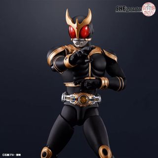 shf kamen rider skc alphamax mafex medicom sofubi SHFiguarts frs ...